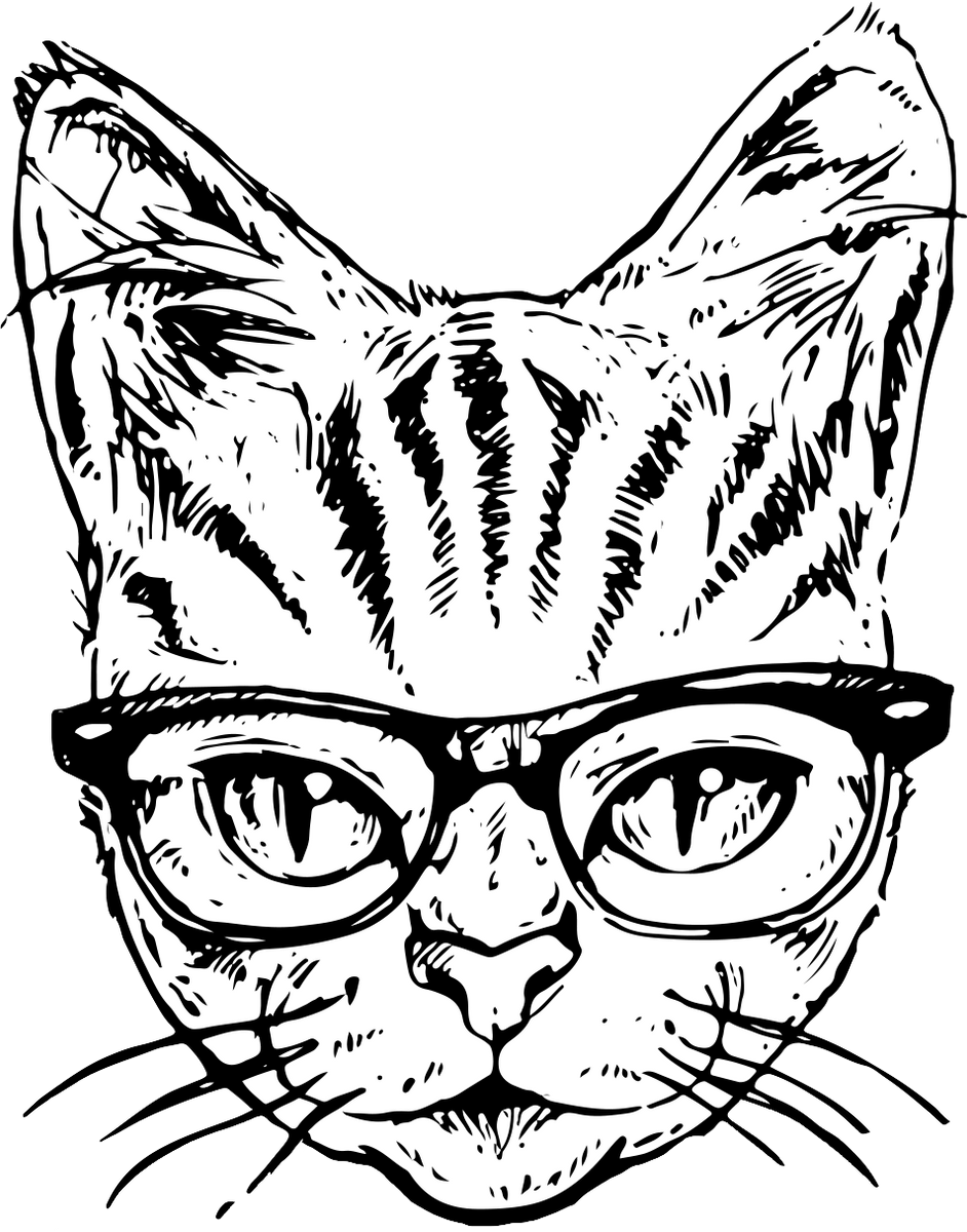 El Gato – Midnight Clothing Co